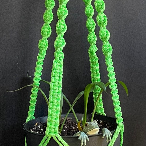 Hanging Parrot Pot - Etsy