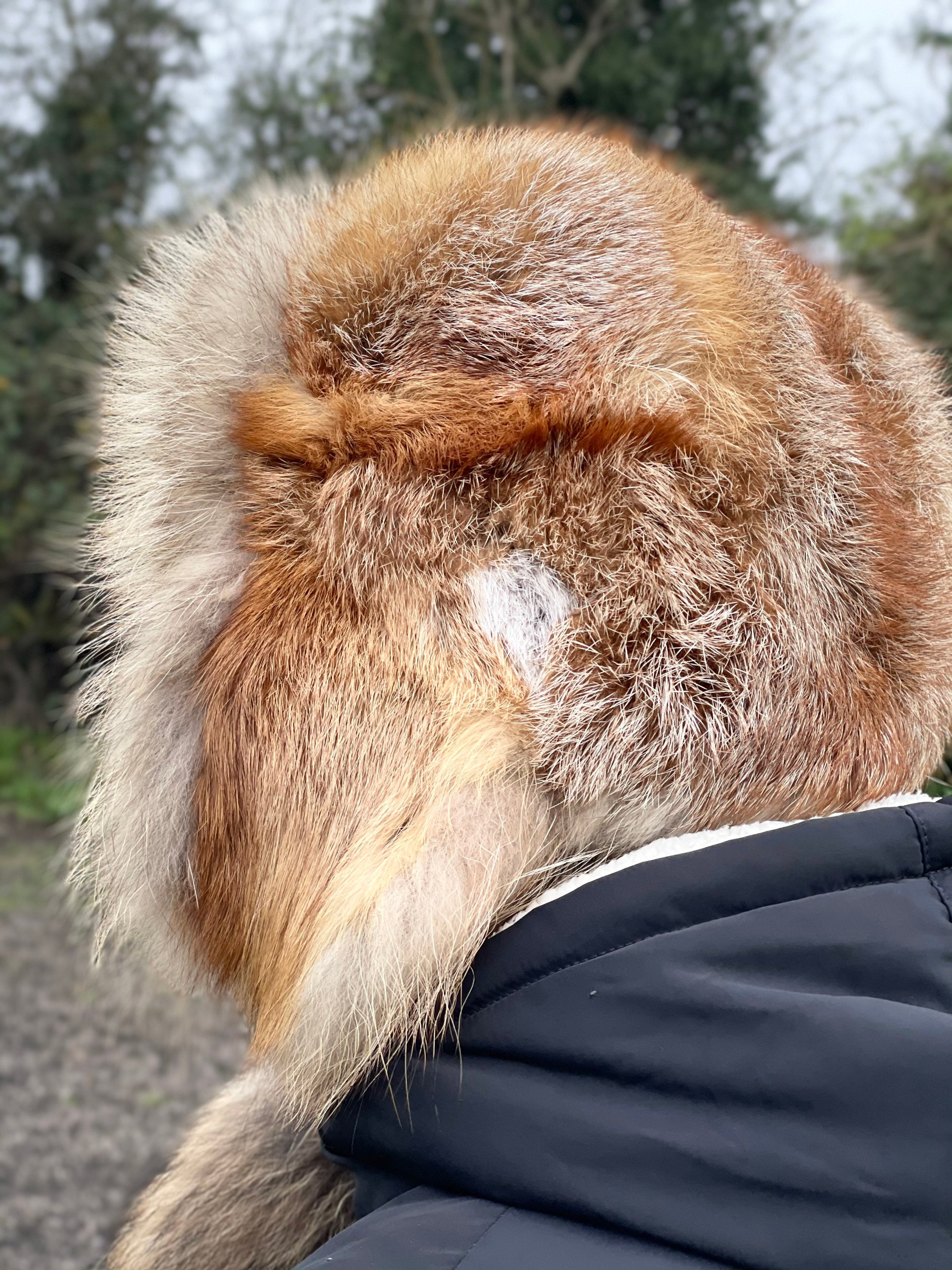 Red Fox / Raccoon Front Natural Full Mens Hat Trappers Ushanka ...