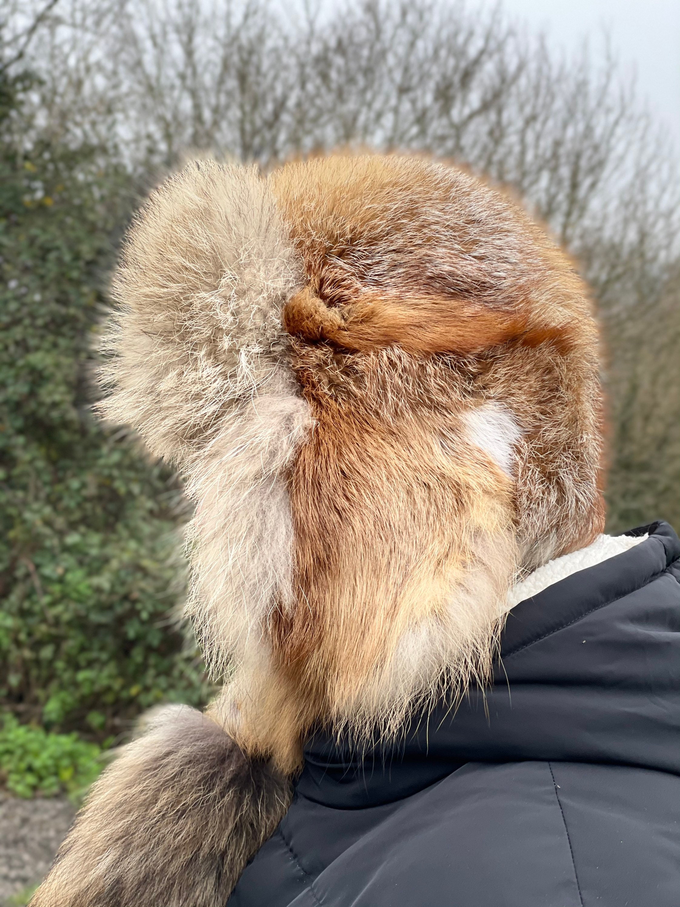 Red Fox / Raccoon Front Natural Full Mens Hat Trappers Ushanka ...