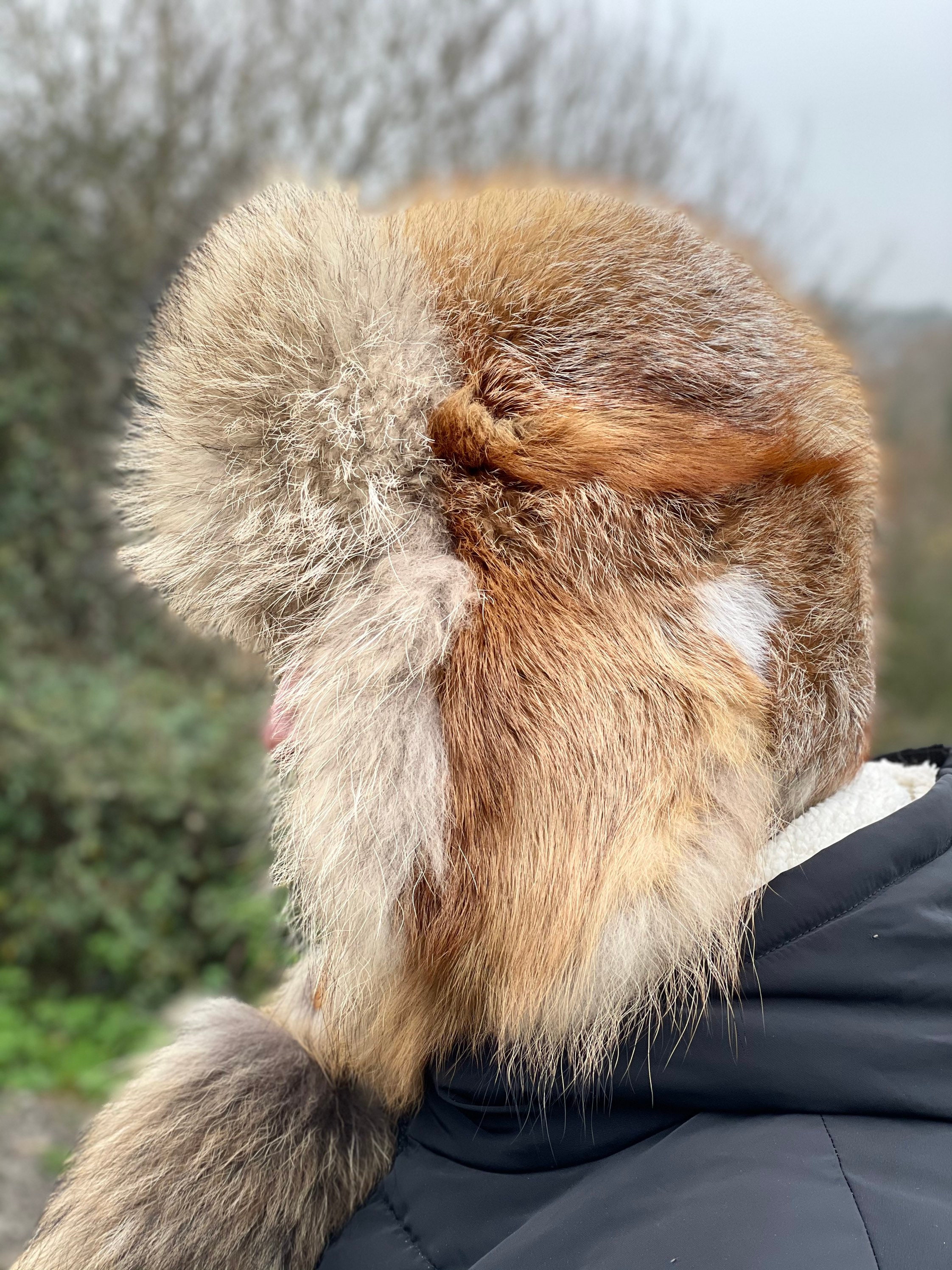 Red Fox / Raccoon Front Natural Full Mens Hat Trappers Ushanka ...