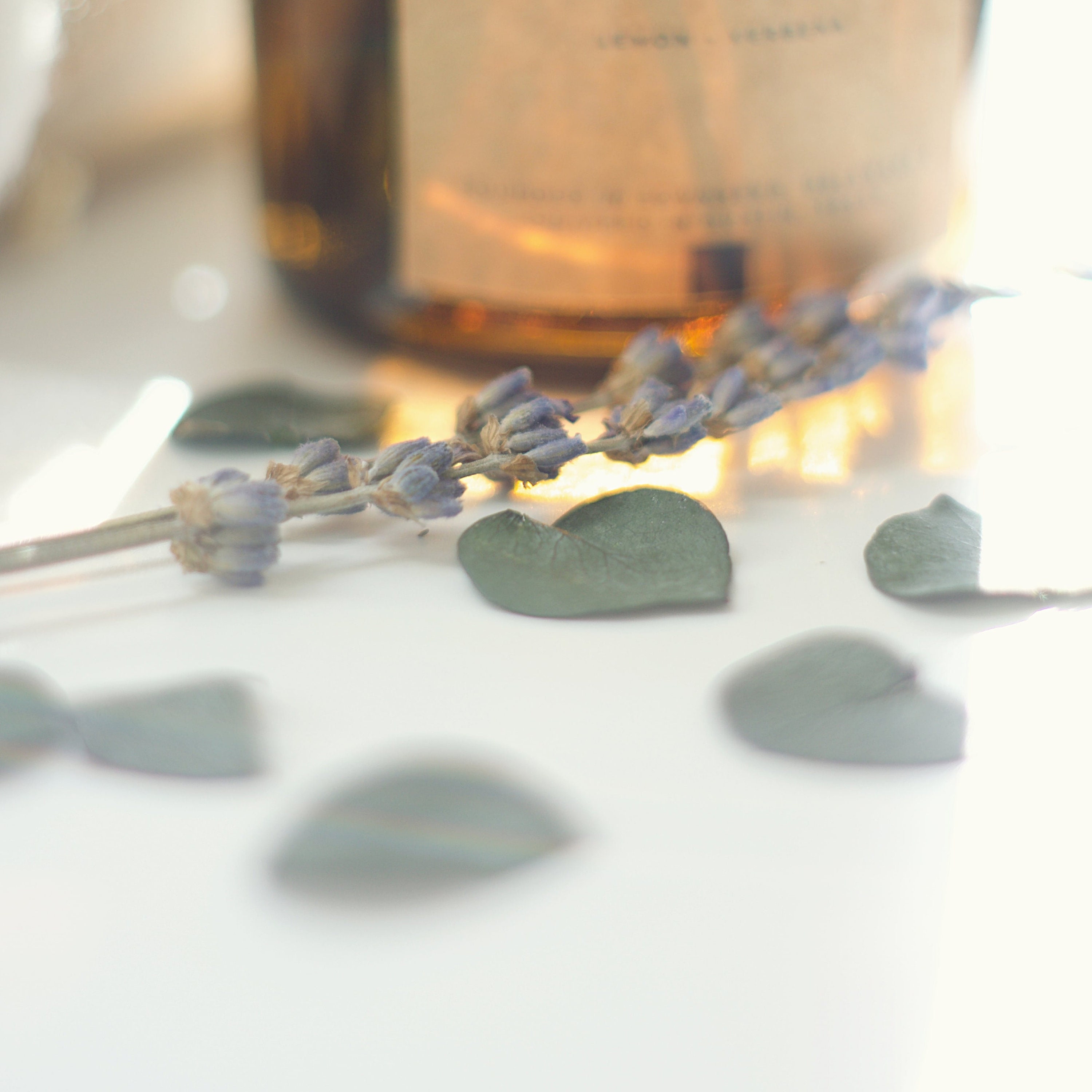 REAL Flower Reed Diffuser Floral Home Fragrance gift bottle | Etsy