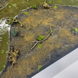 Large Detailed Swamp or Bayou Terrain Board, 2’x2’, for Tabletop RPG ...