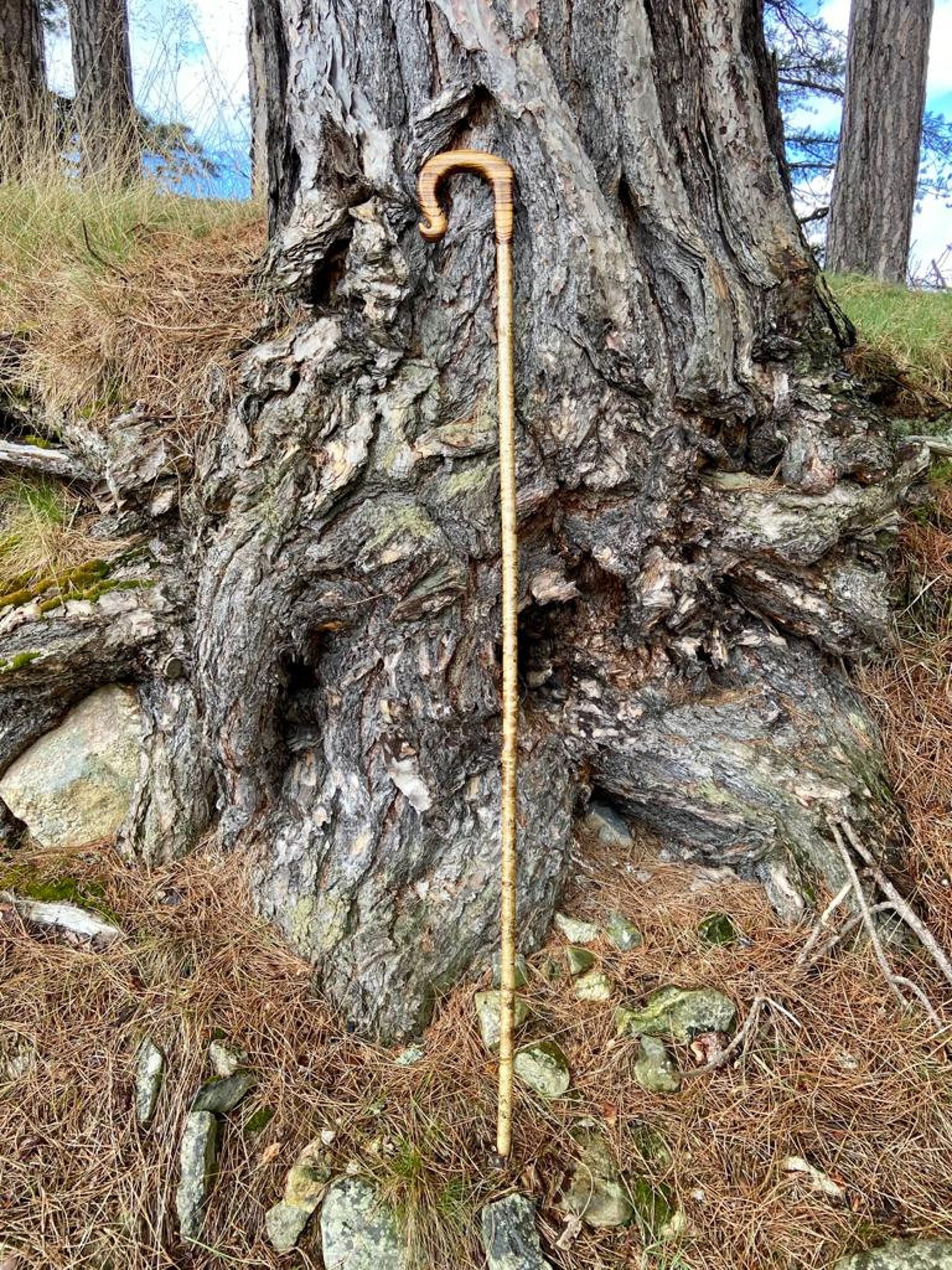 Shepherds Crook Walking Staff / Stick | Etsy