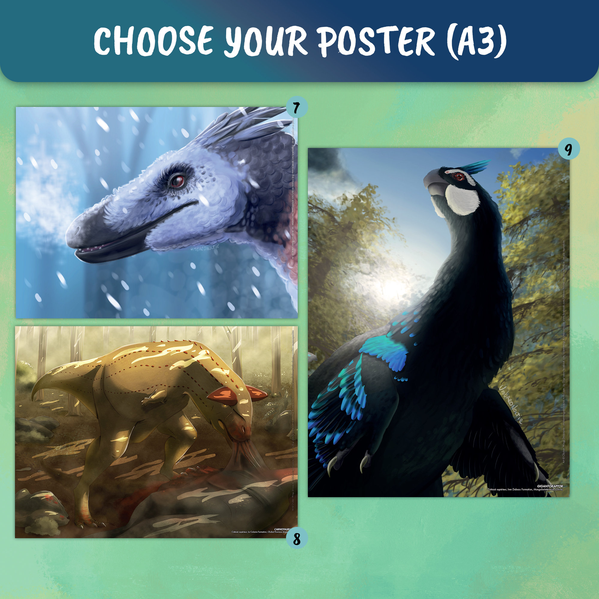 Choose Your Dinosaur Poster: A3 - Etsy
