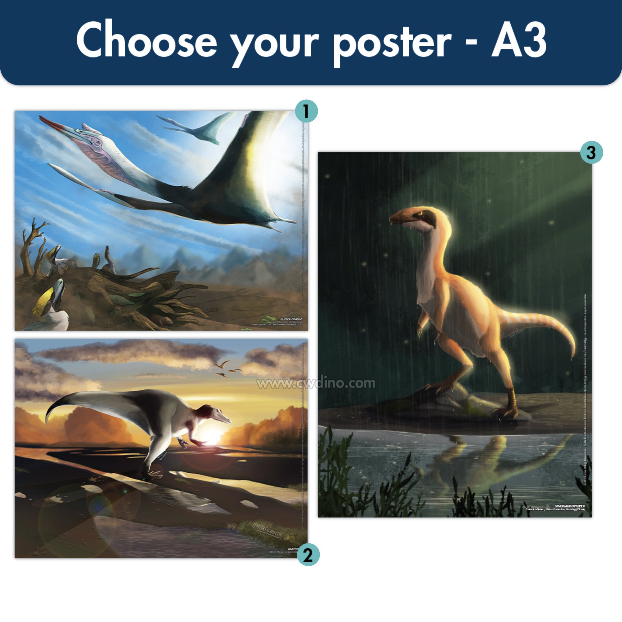 Choose Your Dinosaur Poster: A3 | Etsy