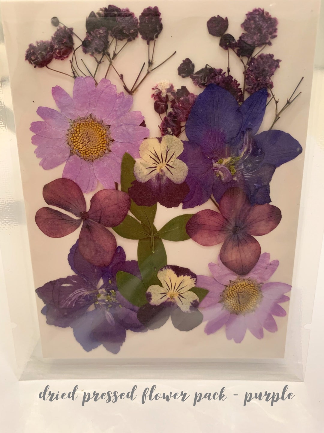 Dried Pressed Flower Pack - Purple - Etsy UK