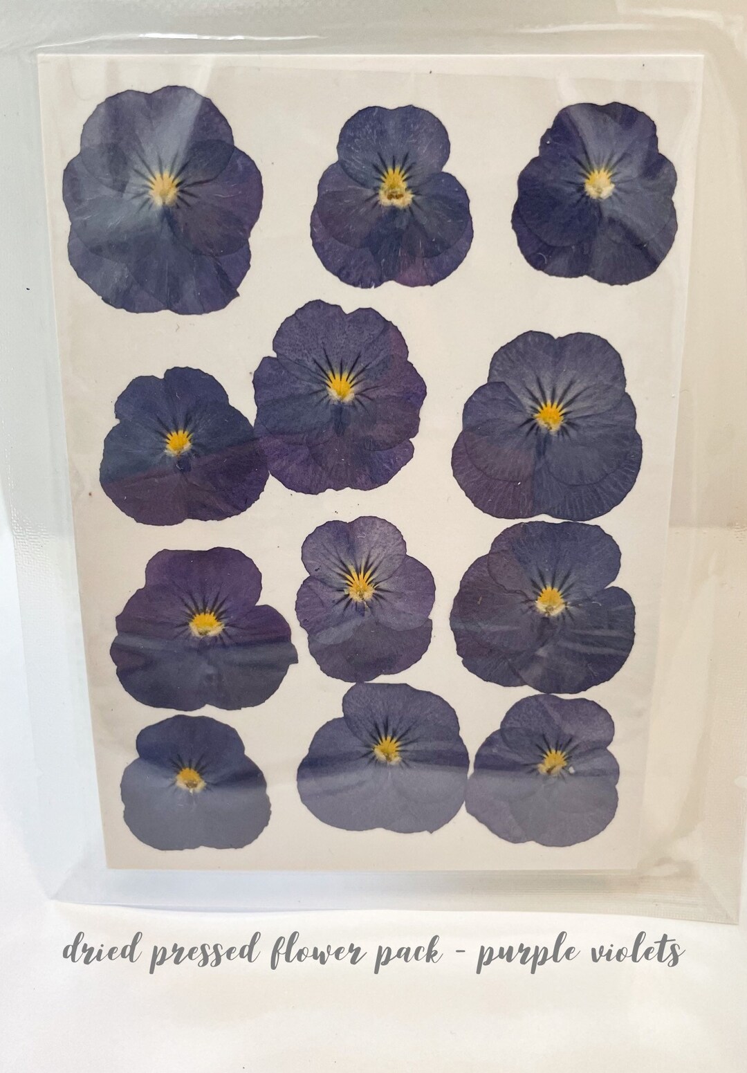 Dried Pressed Flower Pack - Purple Violets - Etsy