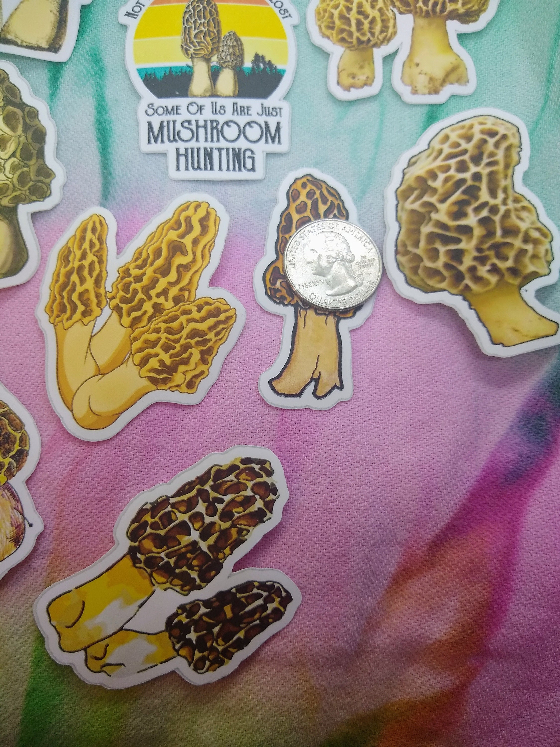 Set Morel Mushroom Sticker Set - Etsy