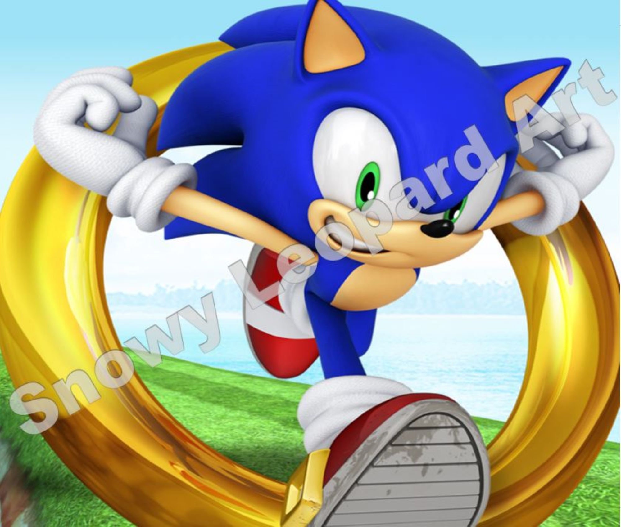Sonic Through the Rings SVG, PNG for 20oz Straight Tumbler Sizable - Etsy
