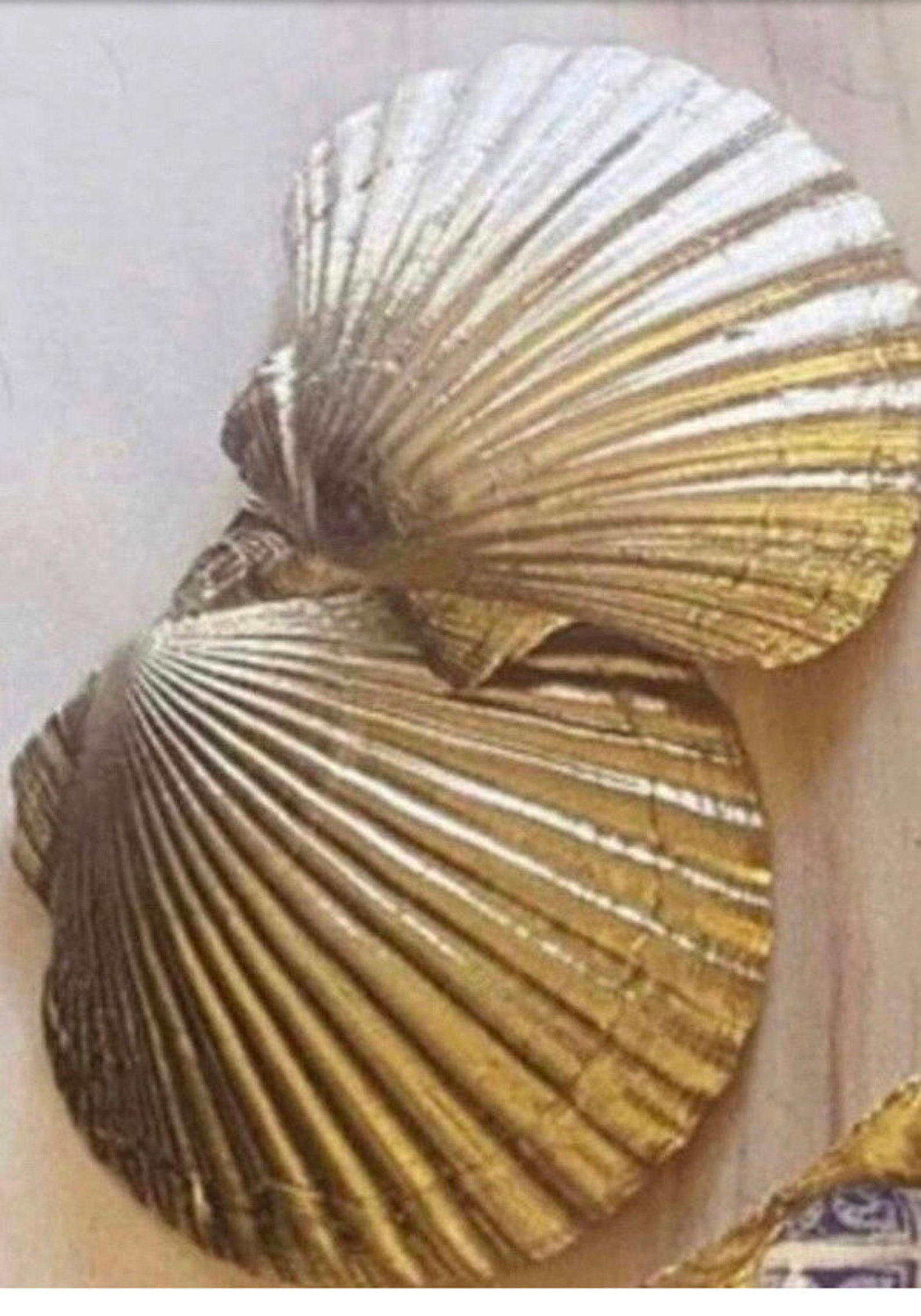 Decoupage Beach Scene Sea Shell Trinket Dish, Scallop Shell Ring Bowl ...