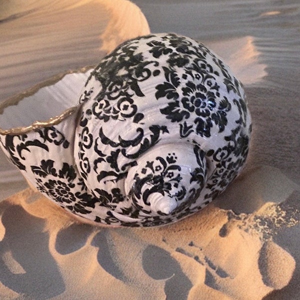 Sea Shell Coasters - Etsy