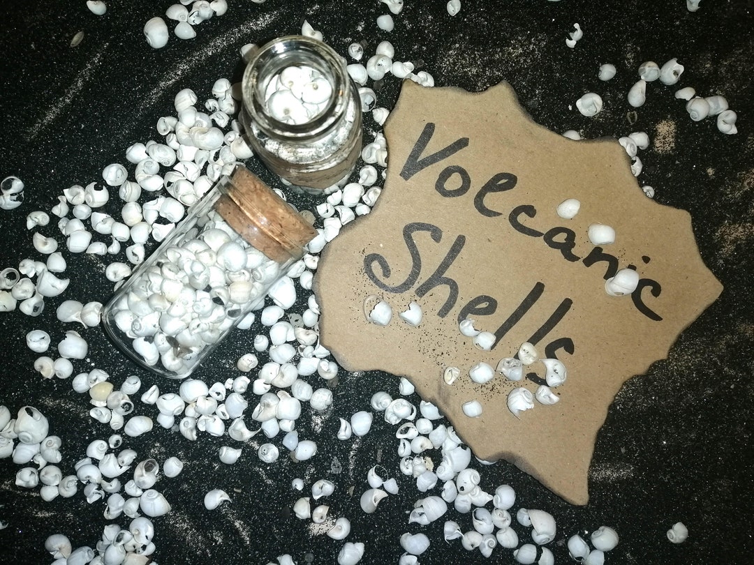 Italian Shells With Black Volcanic Sand – Home Decor or Ritual, Spells ...