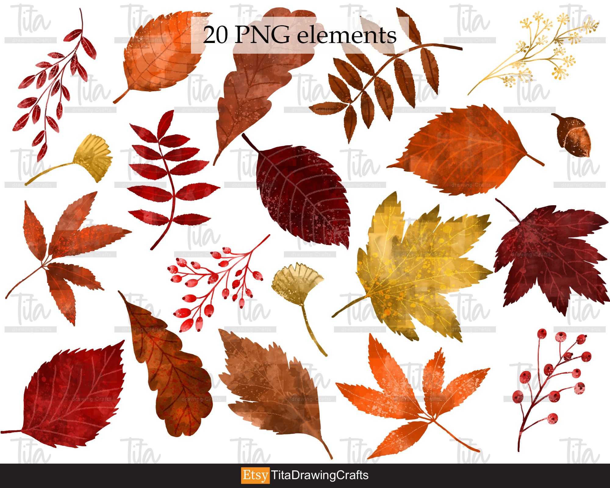 Watercolor Autumn Leaves Clipart Fall Leaves Leaf Variety - Etsy