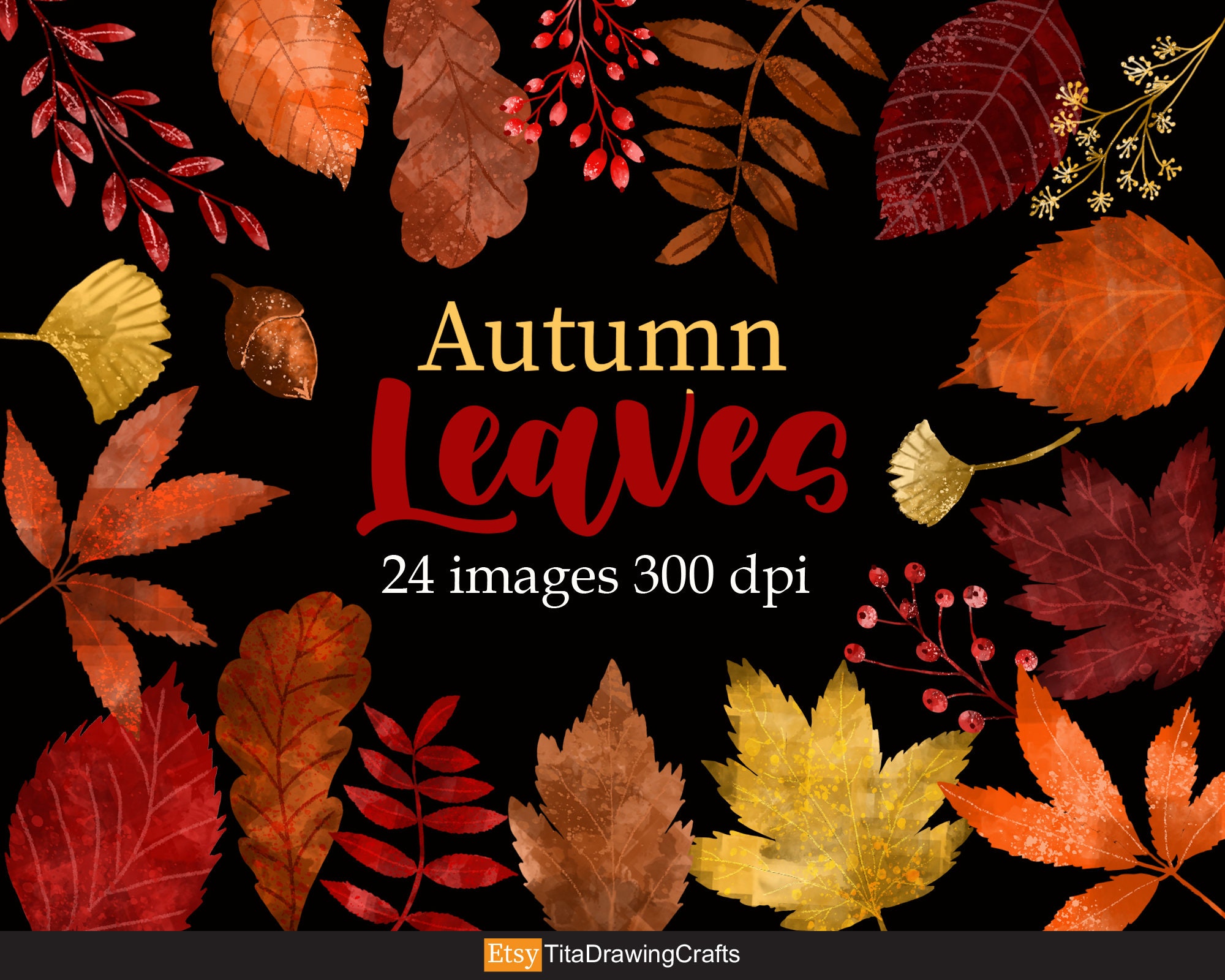 Watercolor Autumn Leaves Clipart Fall Leaves Leaf Variety - Etsy