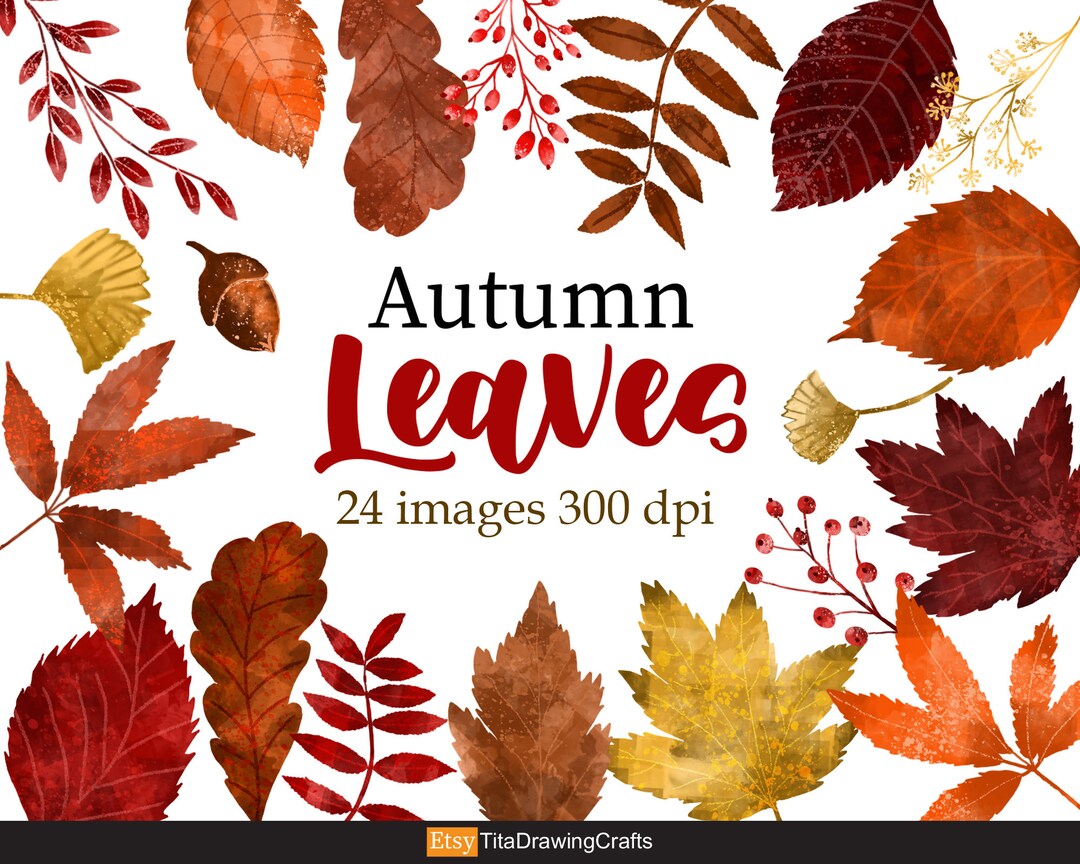 Watercolor Autumn Leaves Clipart Fall Leaves Leaf Variety Leave Pattern ...