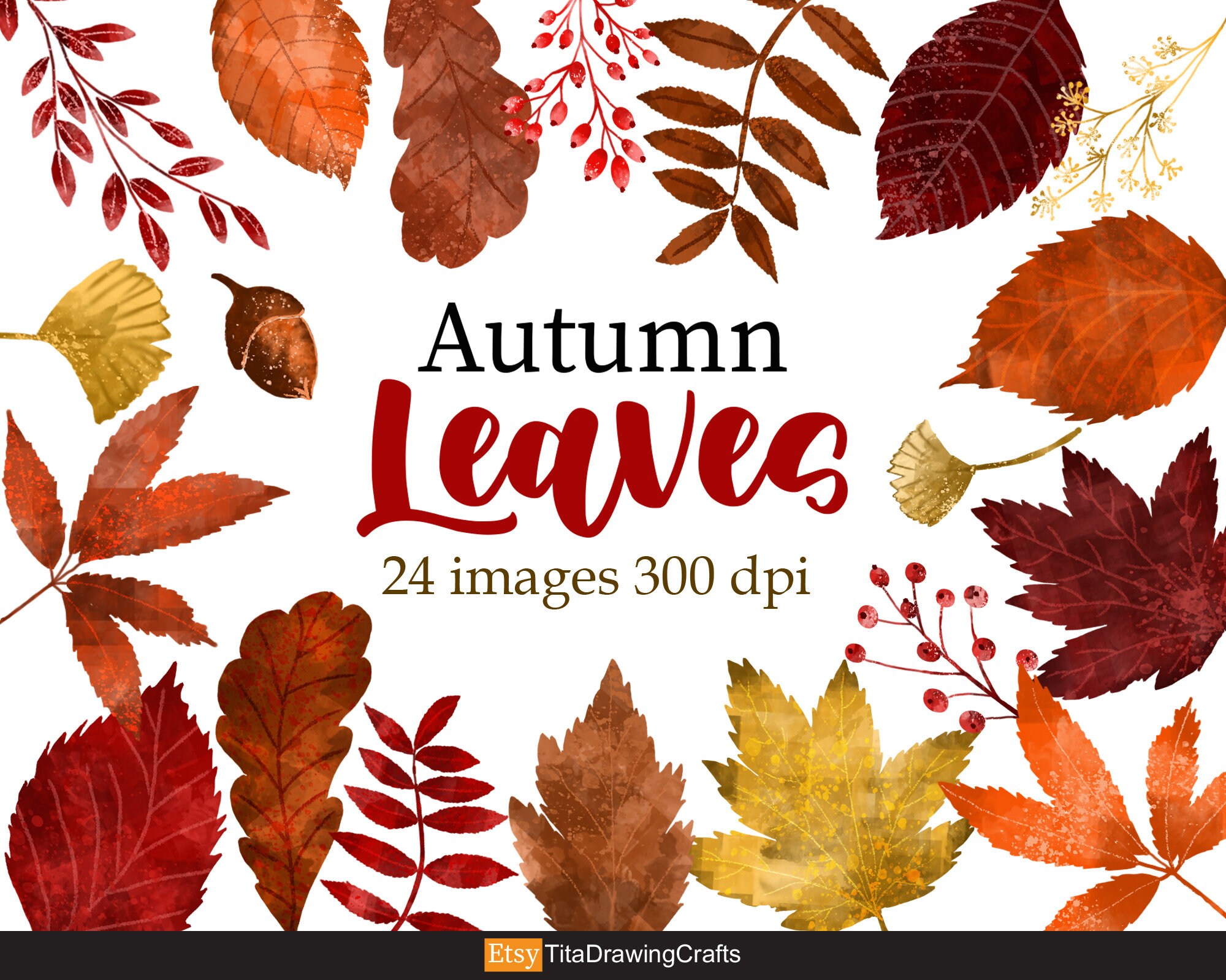 Watercolor Autumn Leaves Clipart Fall Leaves Leaf Variety - Etsy