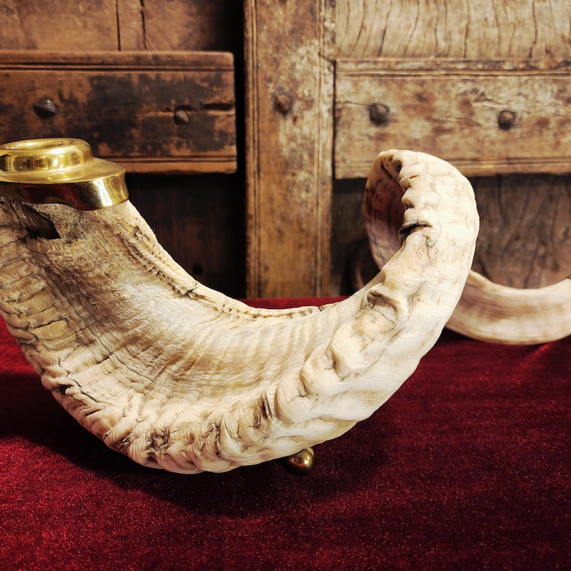 Real Ram Horns - Etsy