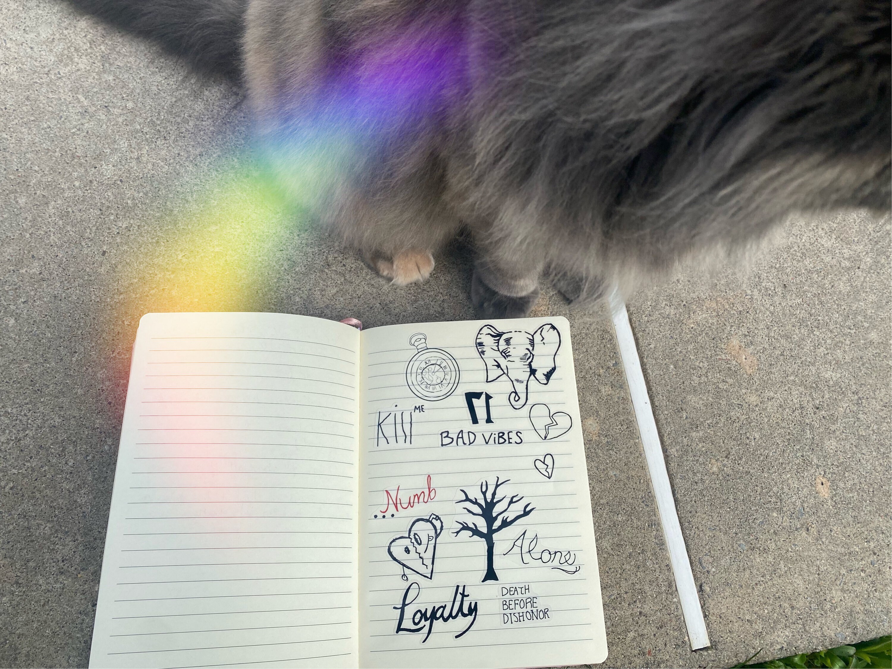 Xxxtentacion Sticker Pack transparent Glossy Sticker / Xxxtentacion ...