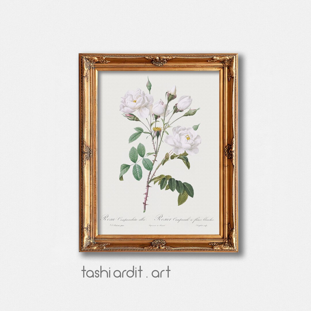 Flower Art Print Download Floral Poster Living Room Decor Vintage ...