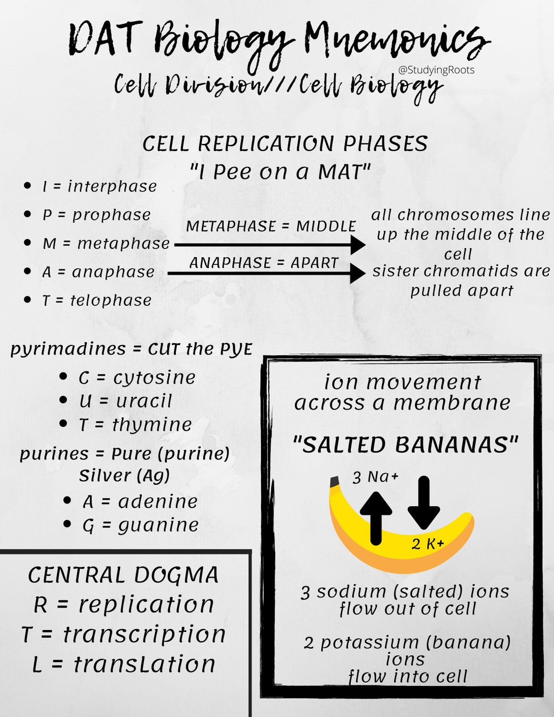 DAT Biology Mnemonics Cheat Sheet | Etsy