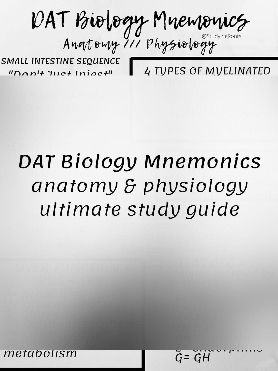 DAT biology Mnemonics Cheat Sheet 2 - Etsy Ireland