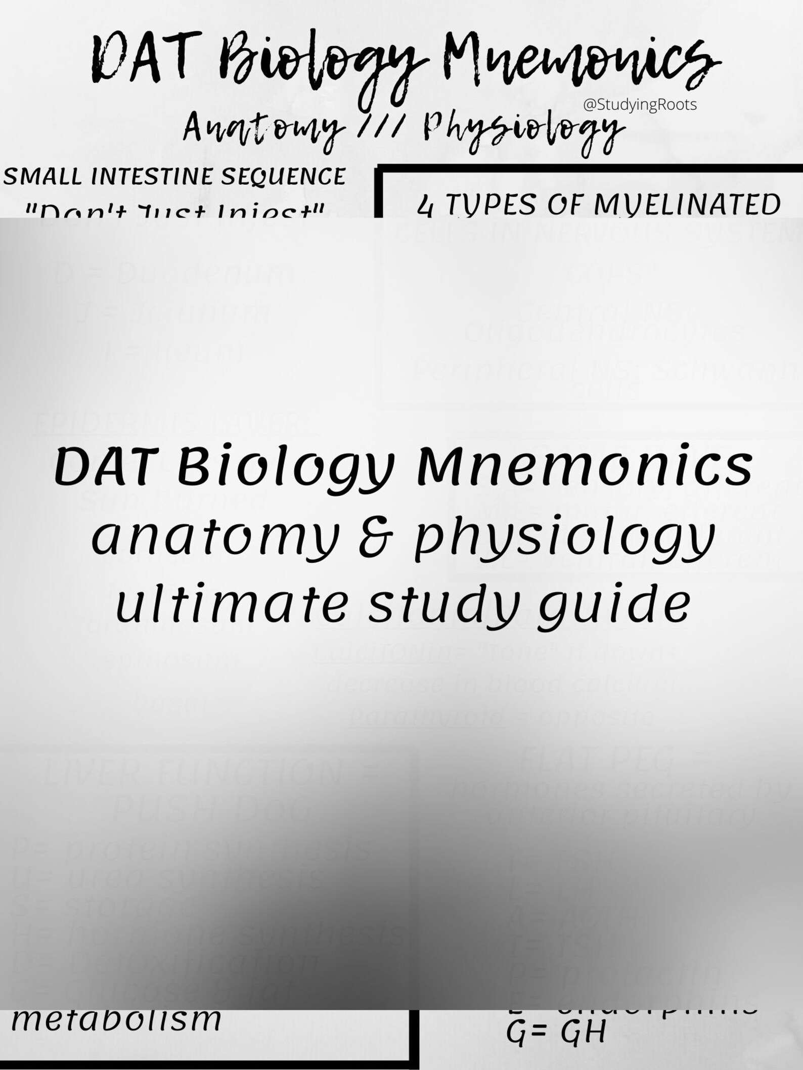 DAT (biology) Mnemonics Cheat Sheet #2 - Etsy