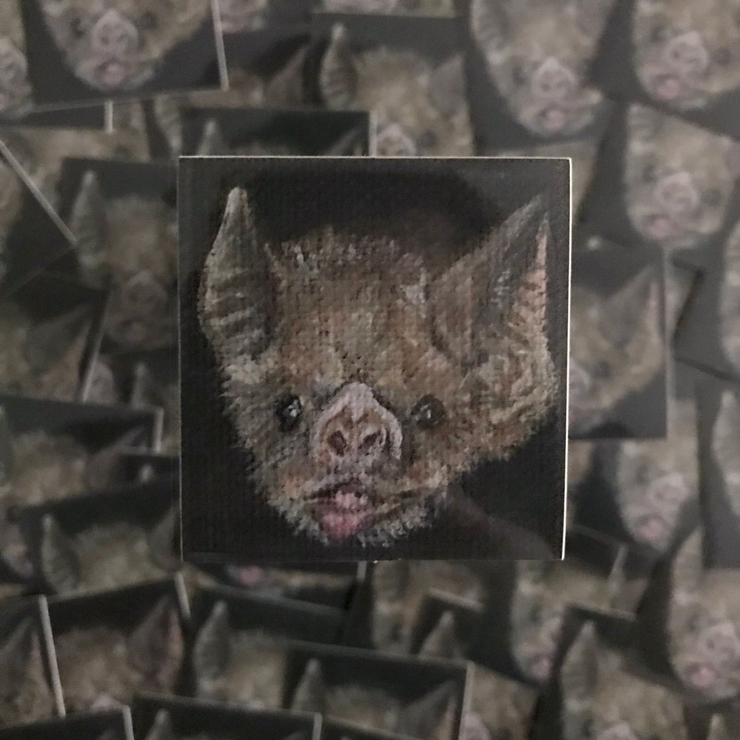 Vampire Bat Sticker - Etsy