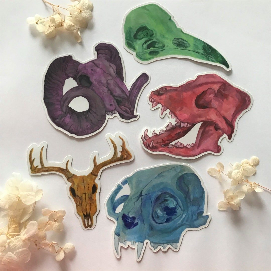 Animal Skull Sticker Set - Etsy