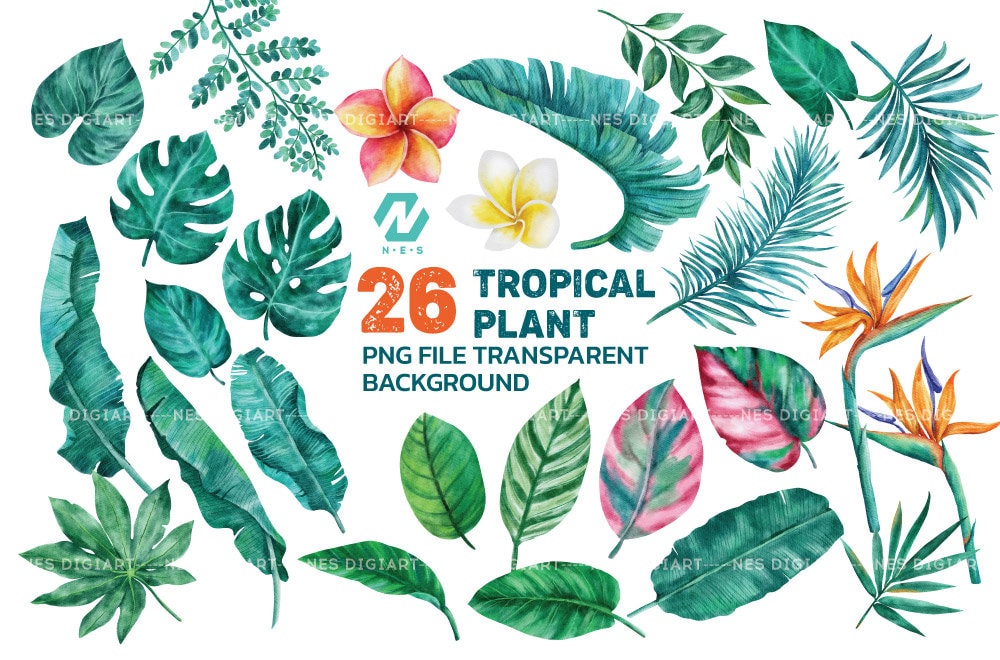Tropical Leaves Png Watercolor Clipart, Instant Download - Etsy