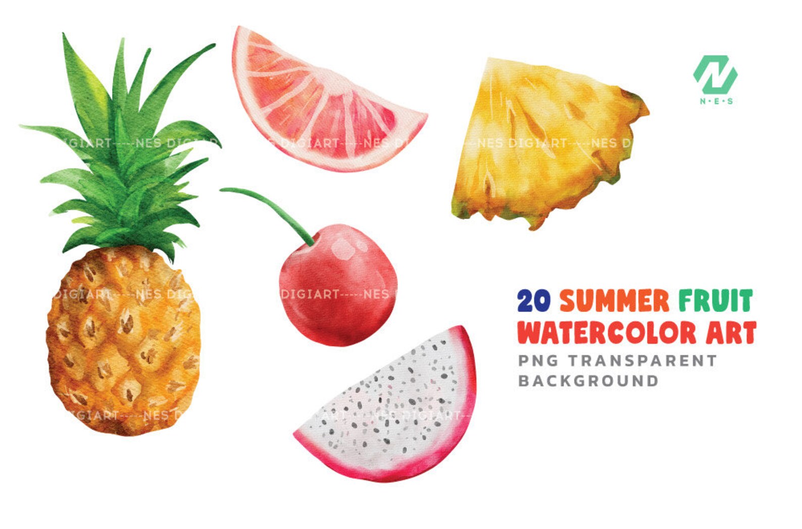 Summer Fruit Watercolor Png Clipart Instant Download - Etsy UK