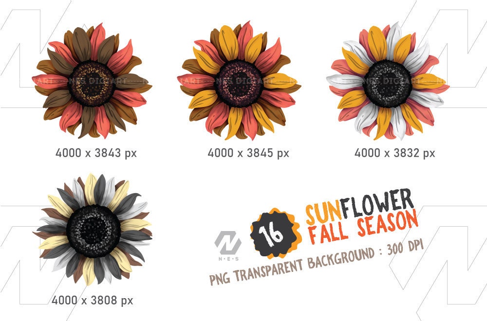 Sunflower PNG Fall Season Sublimation Design, Instant Download - Etsy