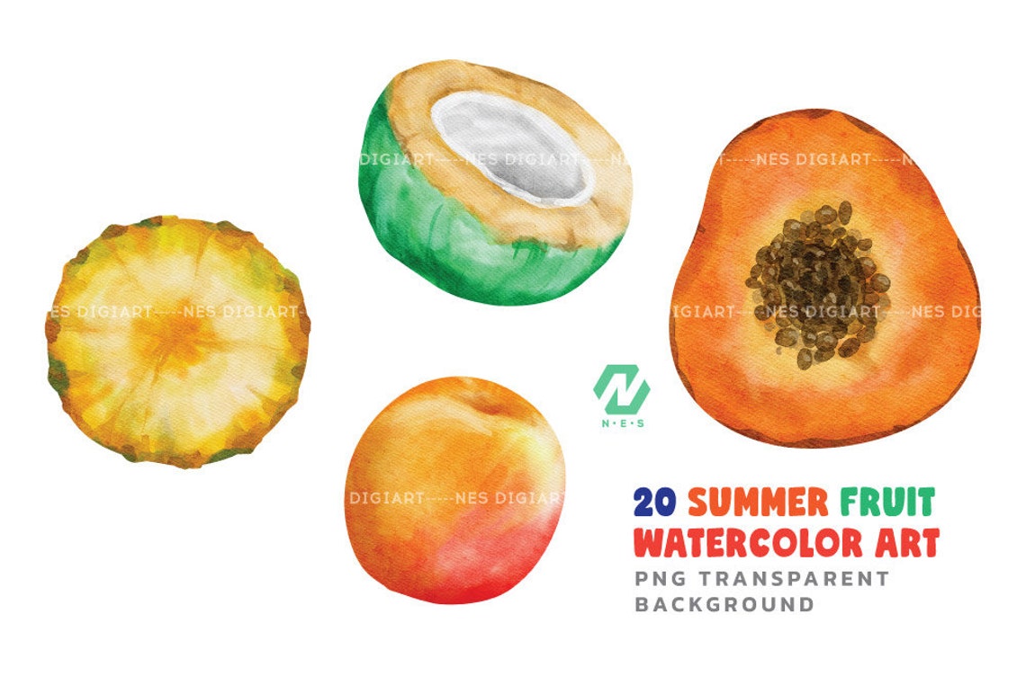 Summer Fruit Watercolor Png Clipart Instant Download - Etsy UK