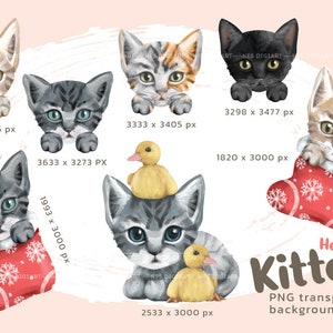 Cute Kitten Cat Painting PNG Collection, Digital Download - Etsy