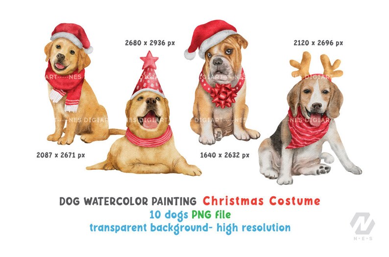 Christmas Dog PNG File, Cute Watercolor Dogs Painting in Christmas ...
