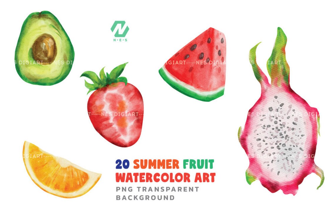 Summer Fruit Watercolor Png Clipart Instant Download - Etsy UK