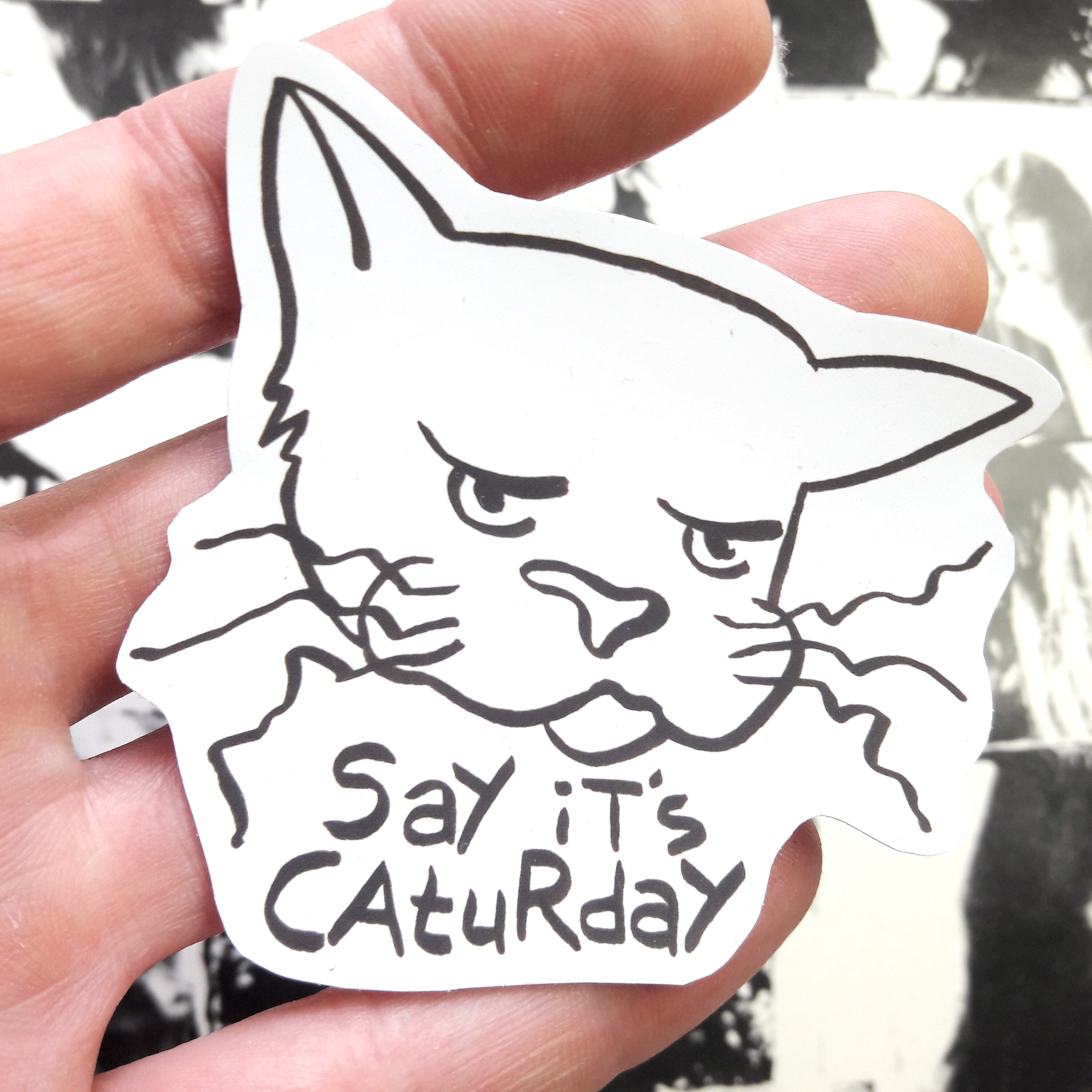 Motivational Cat Notes