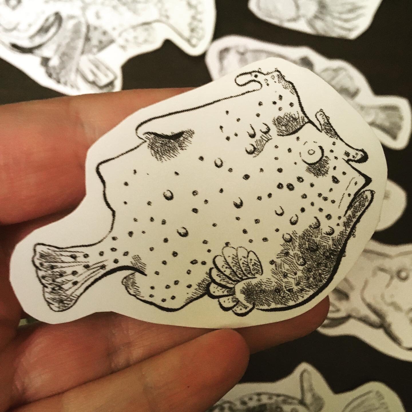 Weird Fishes Vinyl Stickers - Etsy