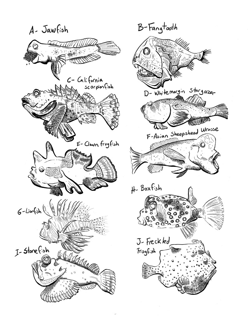 Weird Fishes Vinyl Stickers - Etsy