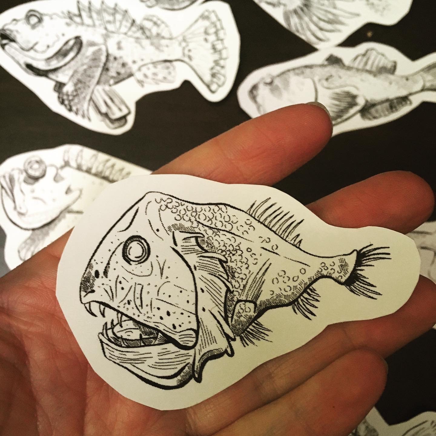 Weird Fishes Vinyl Stickers - Etsy