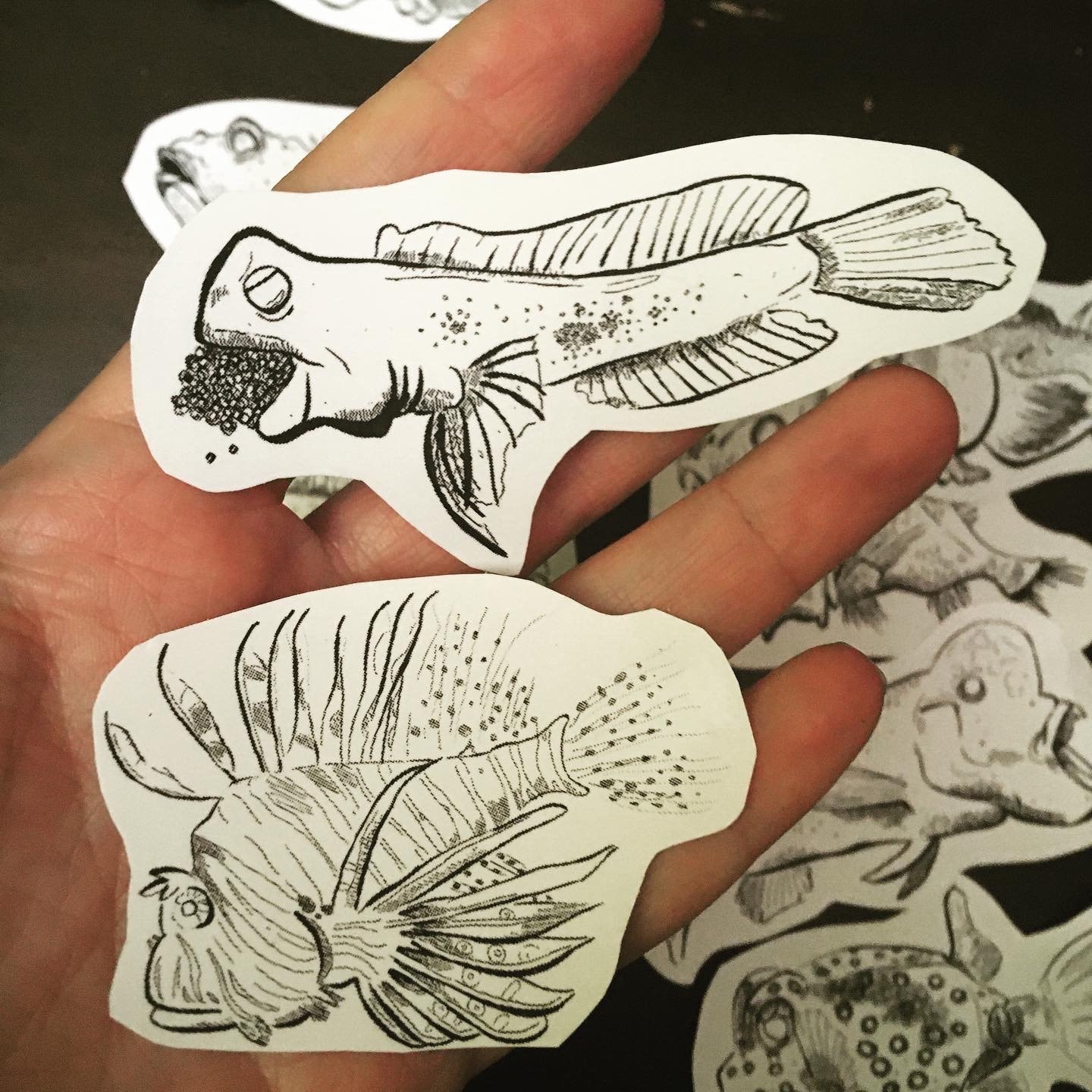 Weird Fishes Vinyl Stickers - Etsy