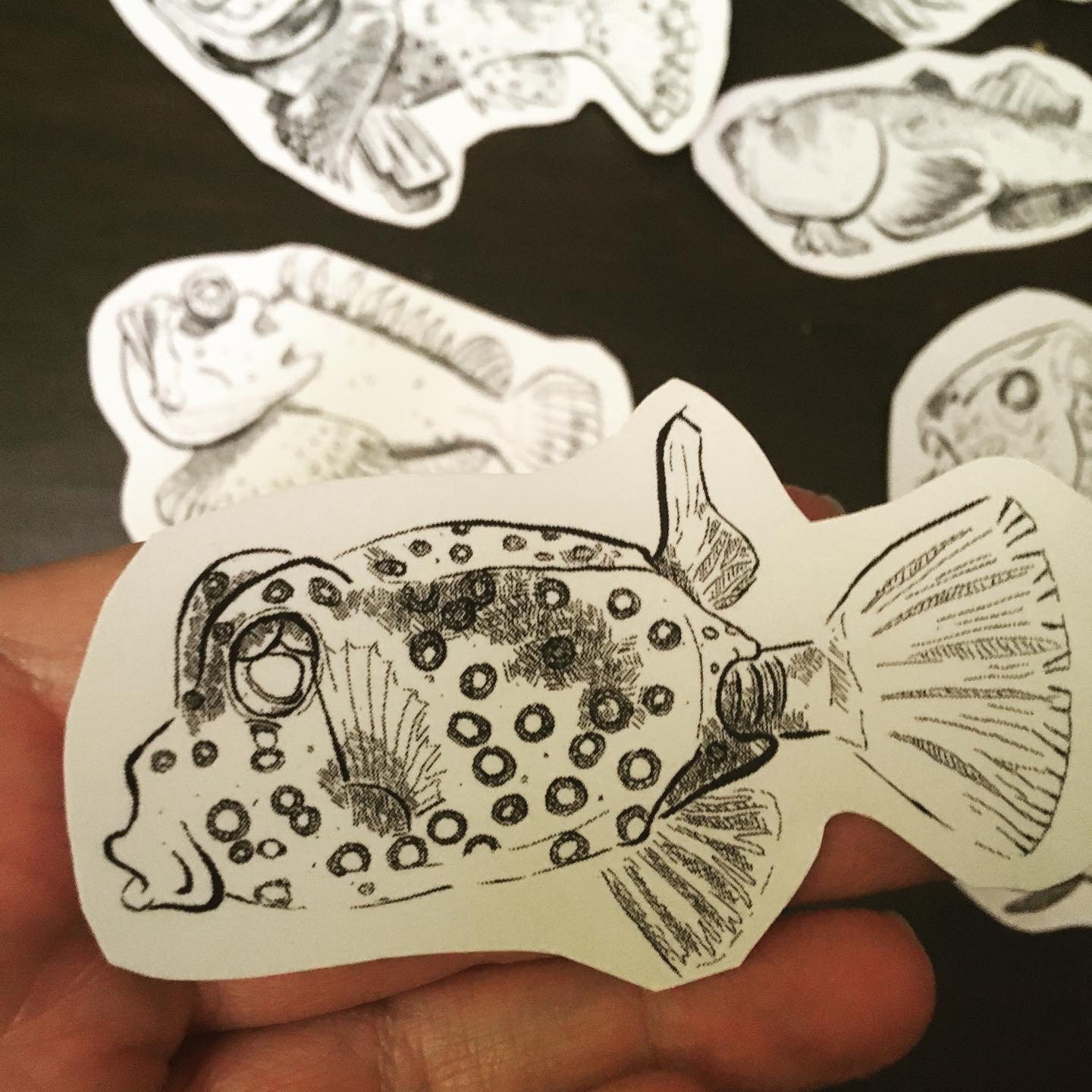 Weird Fishes Vinyl Stickers - Etsy