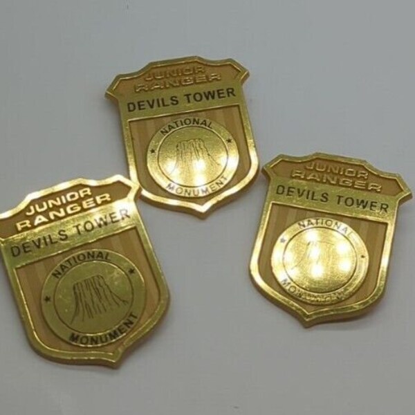 Junior Ranger Badge - Etsy