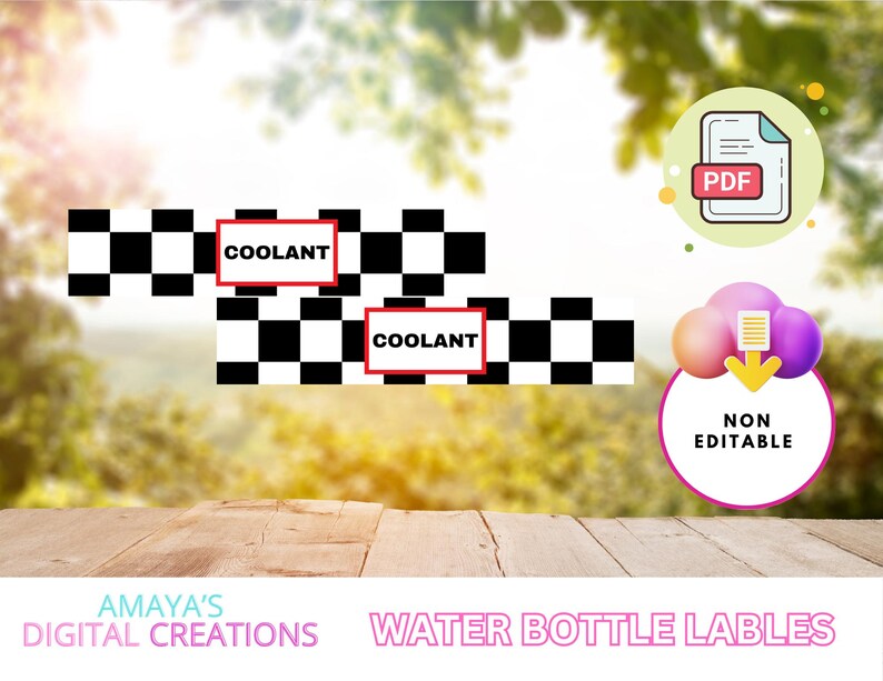 Race Car Water Bottle Labels, Birthday Party Decor (PDF) - Etsy