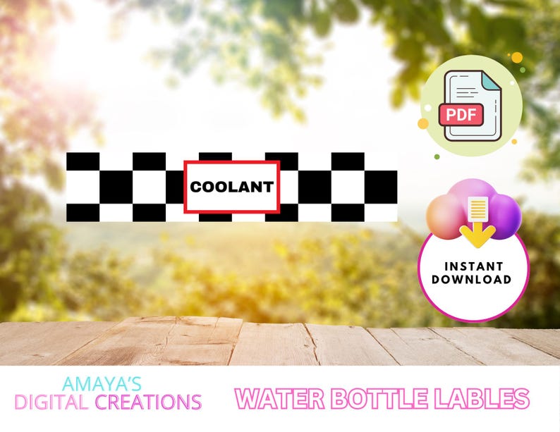 Race Car Water Bottle Labels, Birthday Party Decor (PDF) - Etsy
