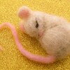 Sleepy Mouse in Walnut Shell Baby Mouse Felted Mouse Fridge Magnet ...