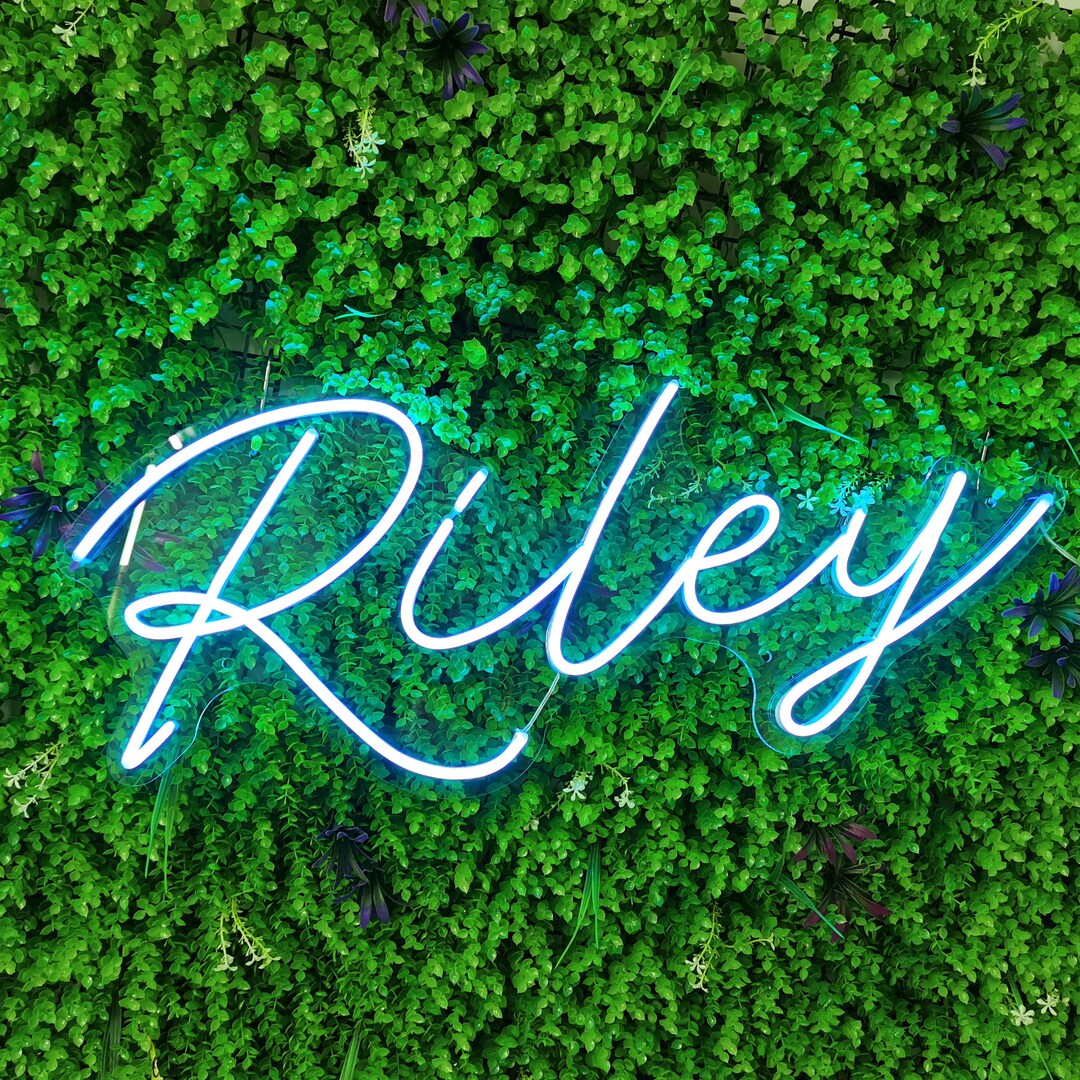 Custom Name Neon Sign: Personalized LED Wall Decor - Etsy