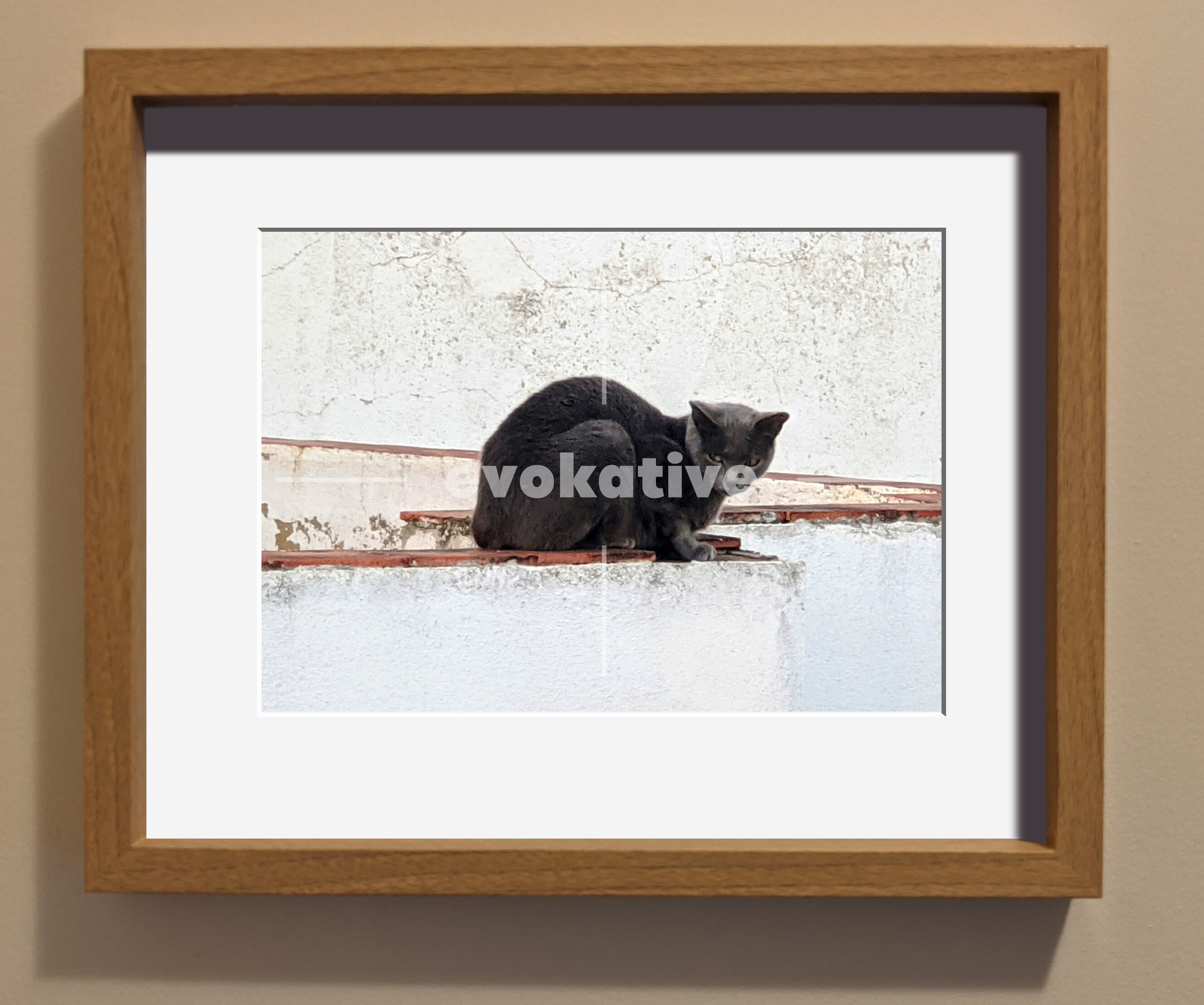 Seville Balcony Cat Print | Colour Art Photography | Wall Art - Etsy