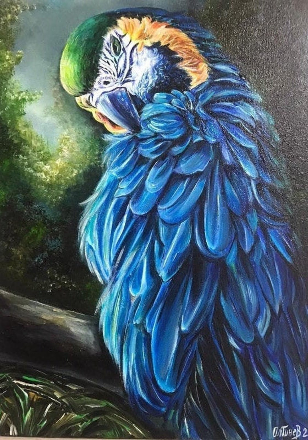 Parrot Acrylic Painting Bird Original Artwork - Etsy