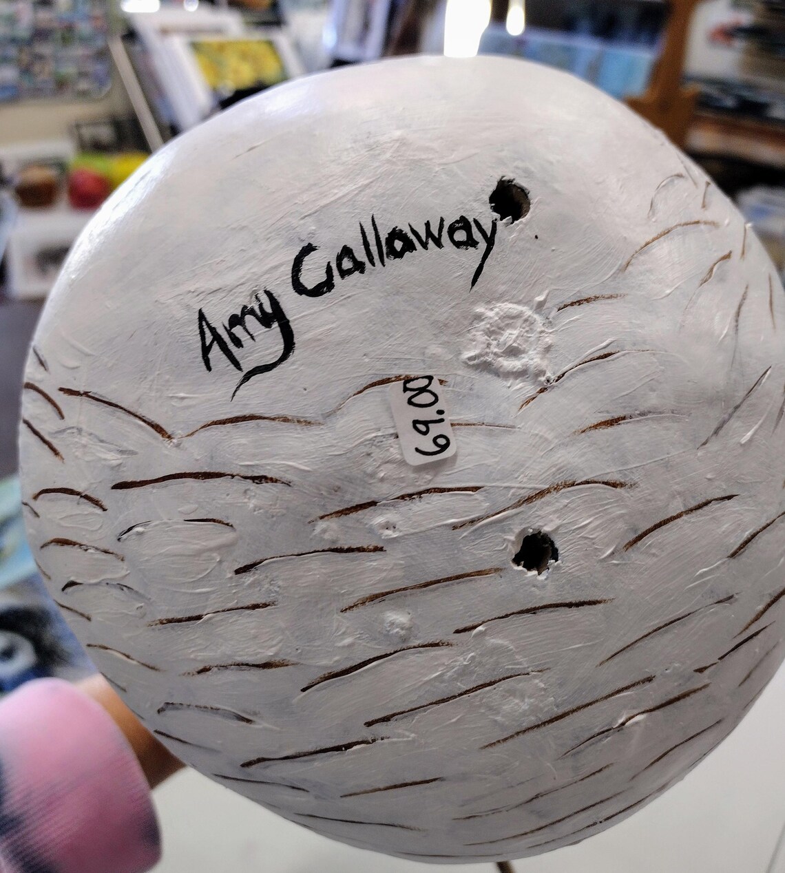 Canadian Goose Gourd Birdhouse - Etsy