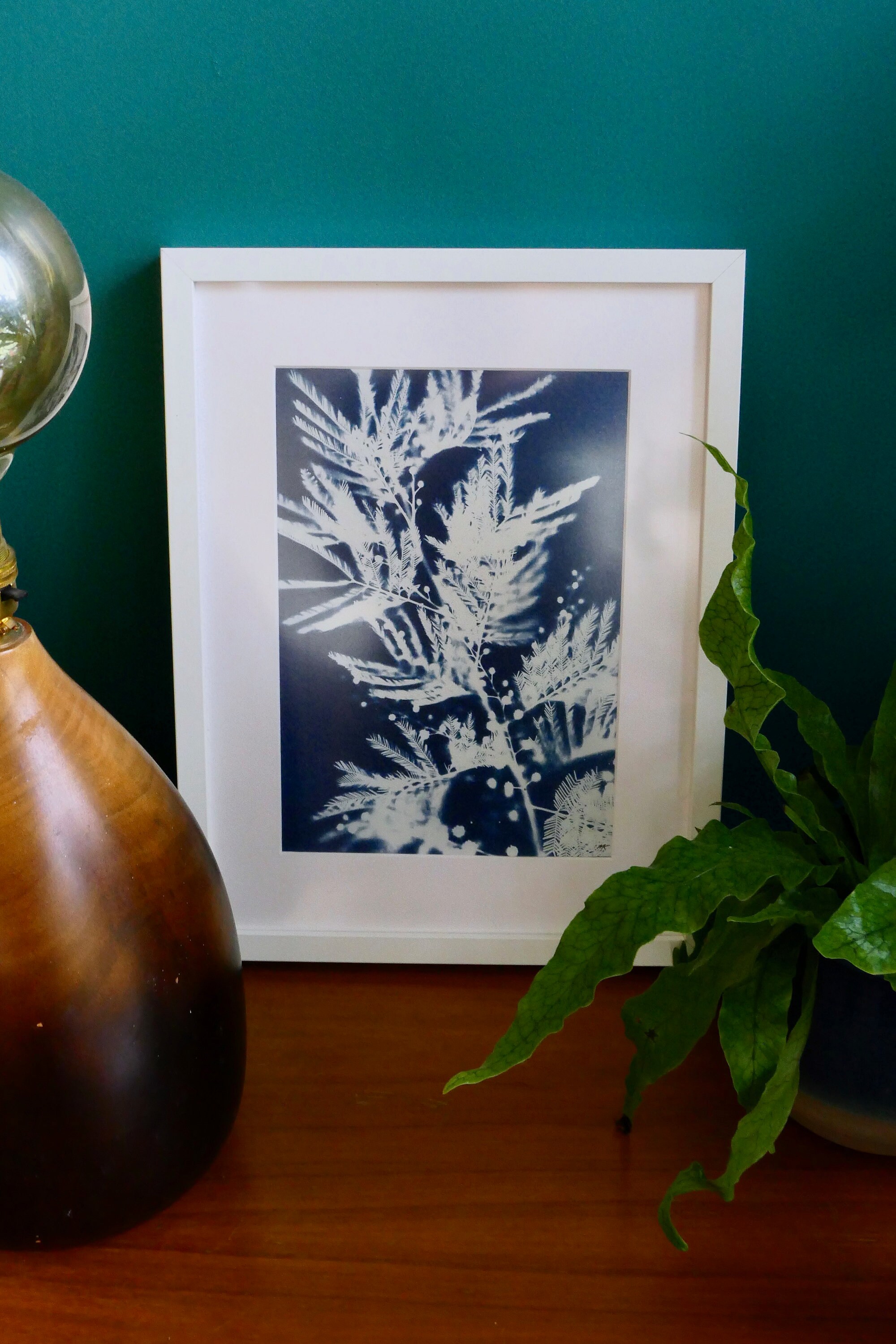 Mimosa Wall Art A4 Original Cyanotype, Handmade, Unique - Etsy